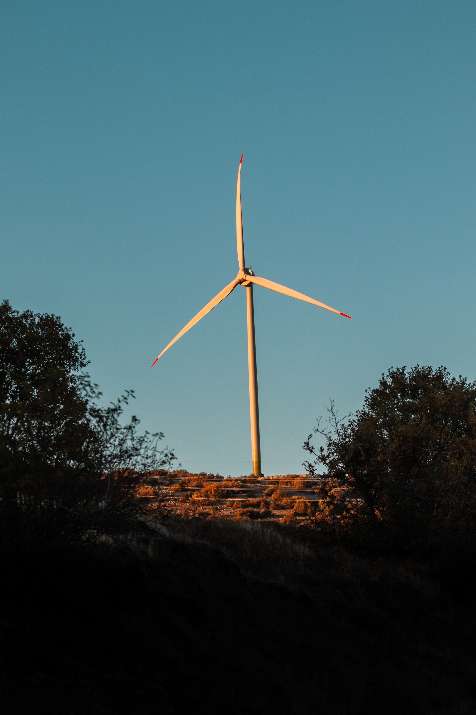 Understanding Net Energy Metering - Energy 101 Blog - Energy 101 Solar News